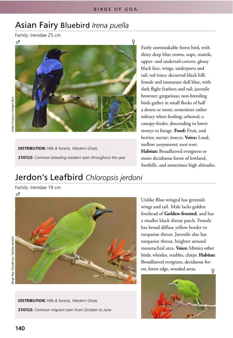 The Photographic Guide to the Birds of Goa - by Bikram Grewal & Savio ...